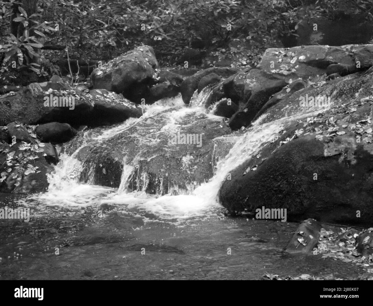 Cascades in the North Georgia USA Mountains Stock Photo - Alamy