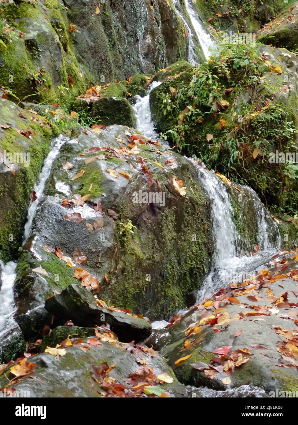 Cascades in the North Georgia USA Mountains Stock Photo - Alamy