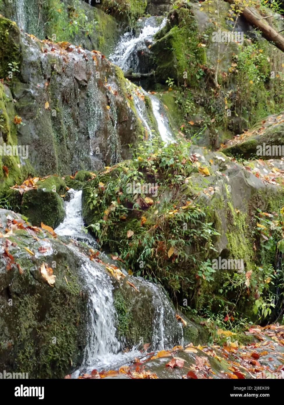 Cascades in north georgia hi-res stock photography and images - Alamy