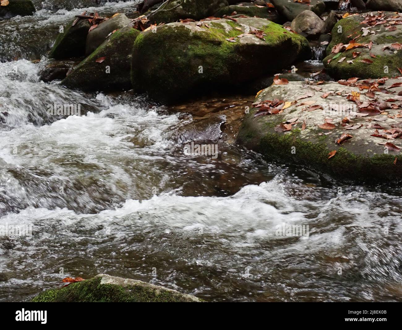 Cascades in the North Georgia USA Mountains Stock Photo - Alamy