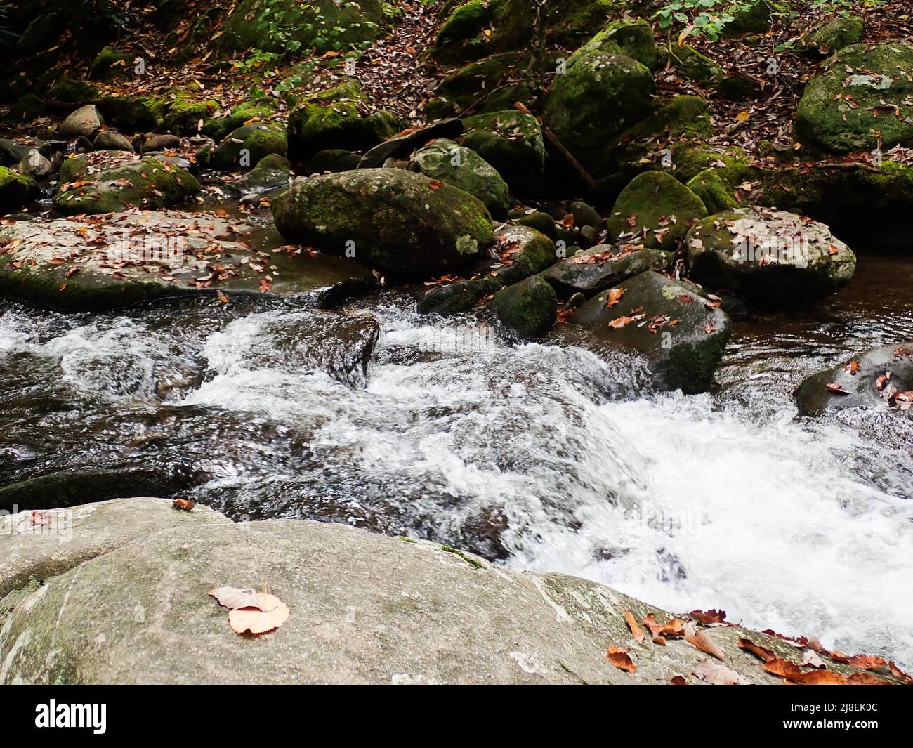 Cascades in north georgia hi-res stock photography and images - Alamy