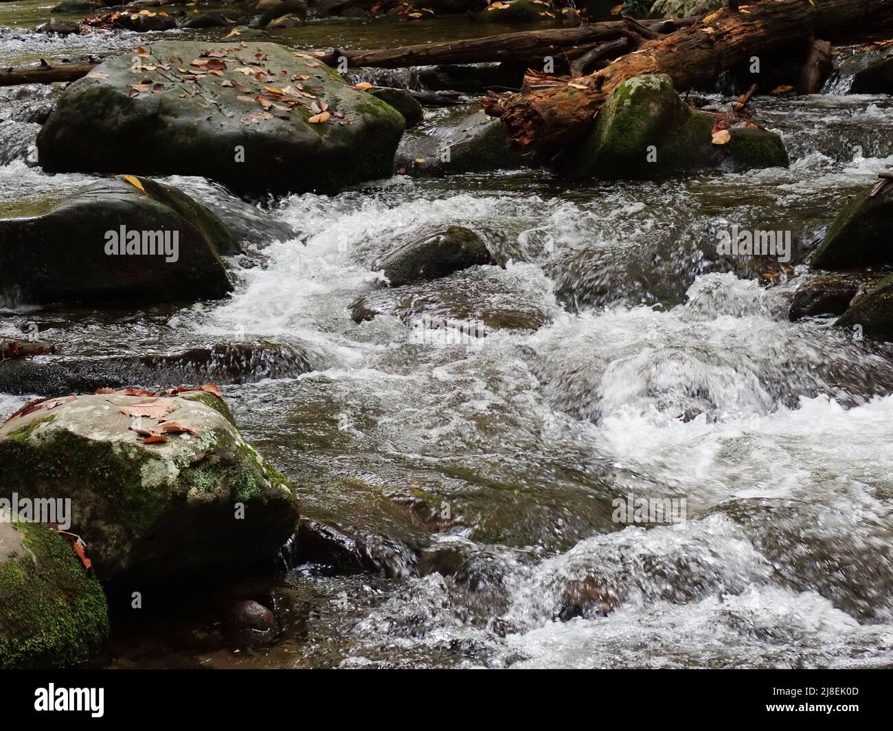Cascades in the North Georgia USA Mountains Stock Photo - Alamy