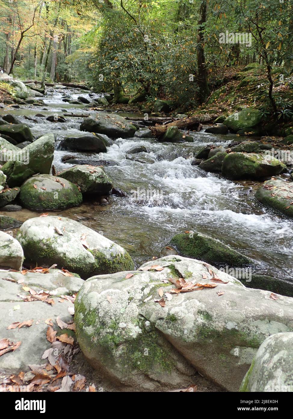 Cascades in north georgia hi-res stock photography and images - Alamy
