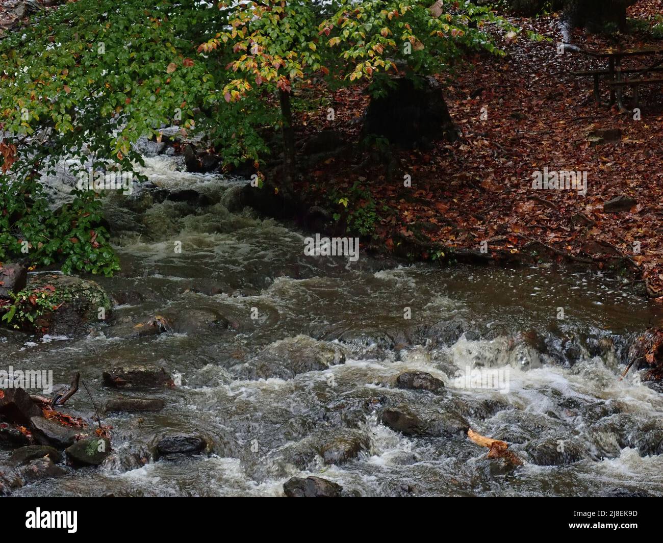 Cascades in the North Georgia USA Mountains Stock Photo - Alamy