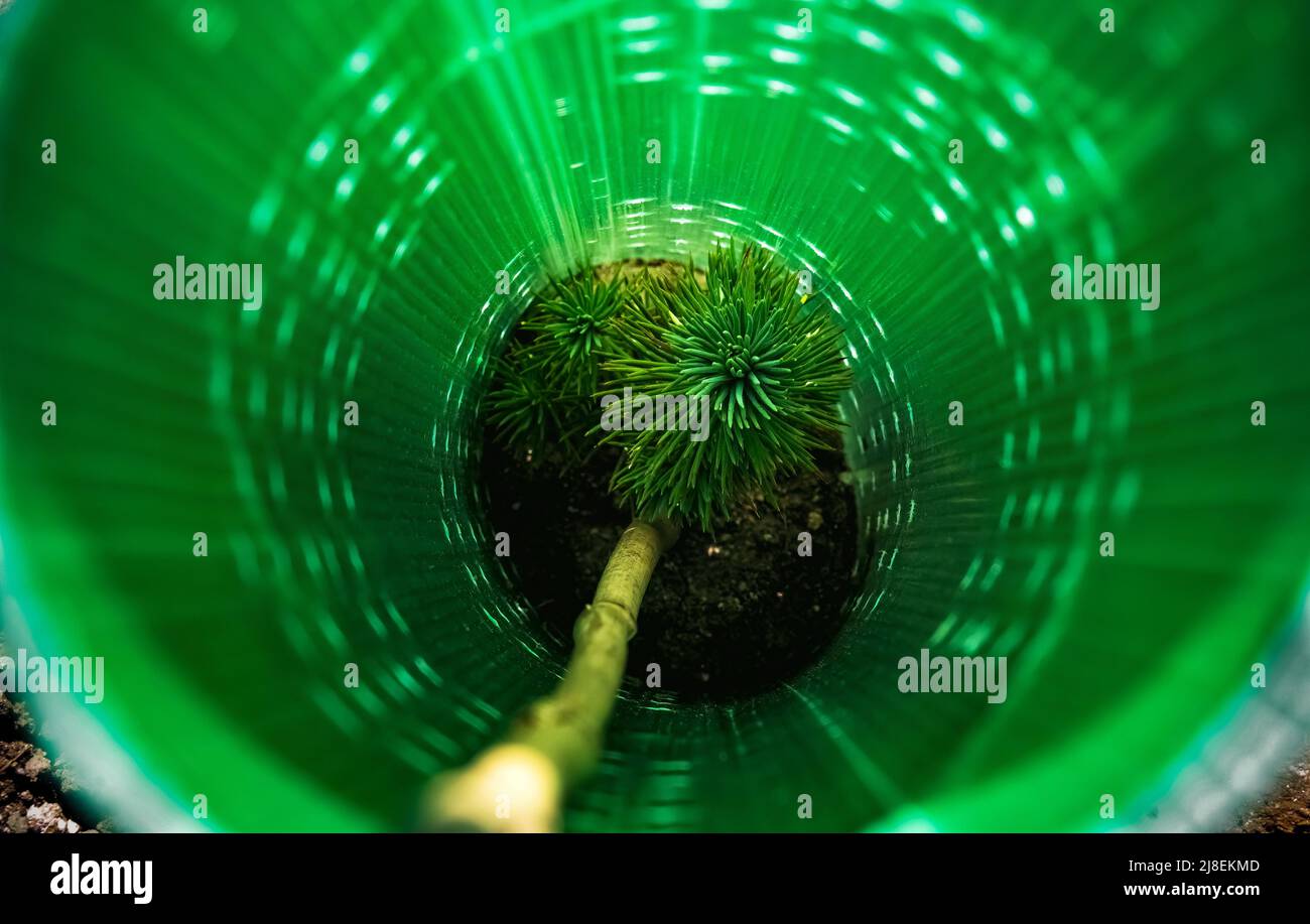 Tree growth damage fence hi-res stock photography and images - Alamy