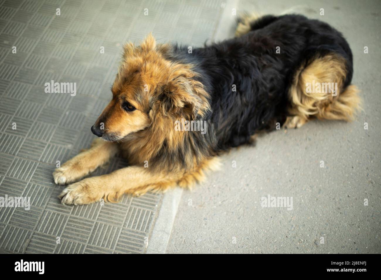 Rumpled hair hi-res stock photography and images - Alamy