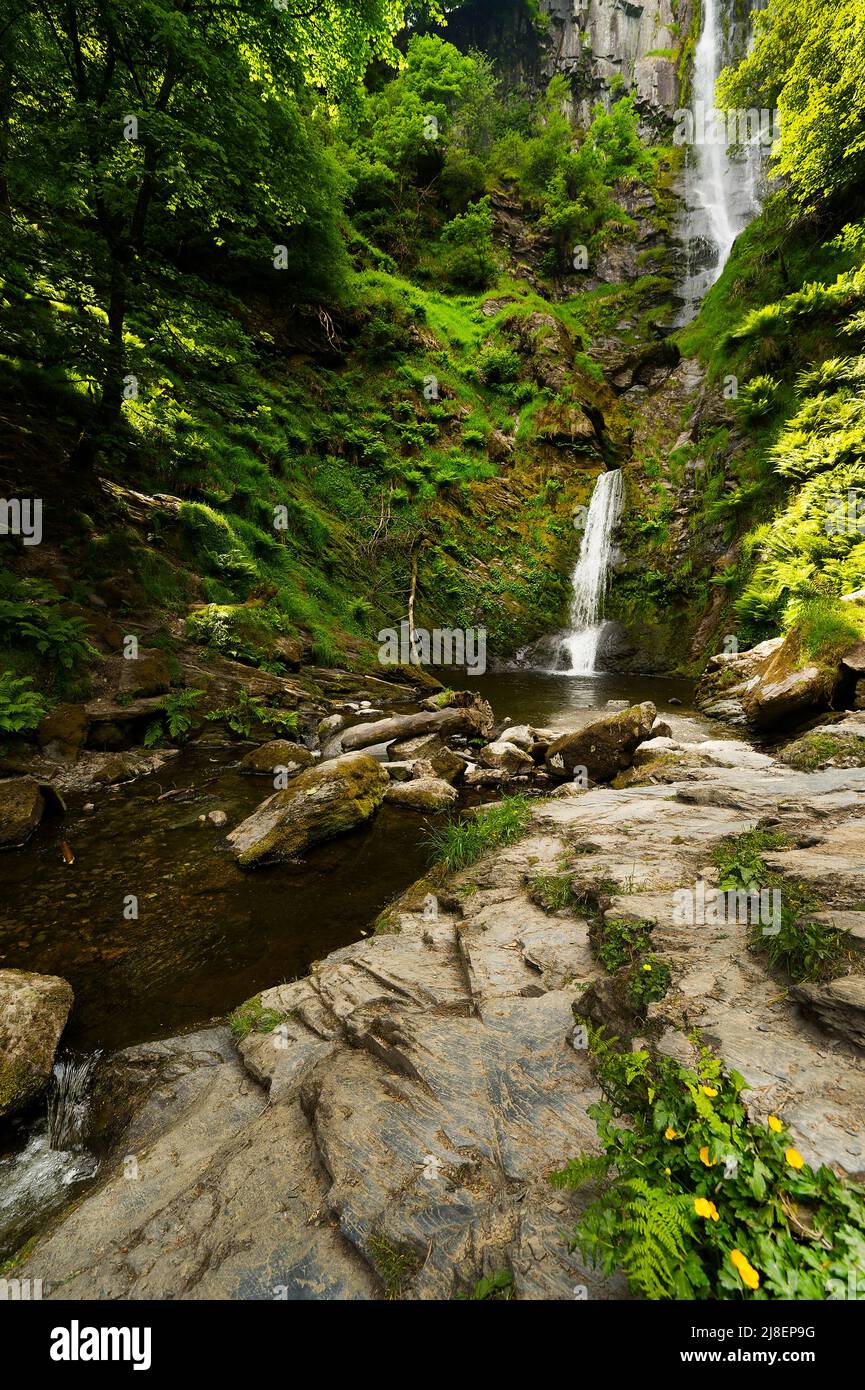 Pistyll Rhaeadr Waterfall, the highest waterfall in Britain Stock Photo ...
