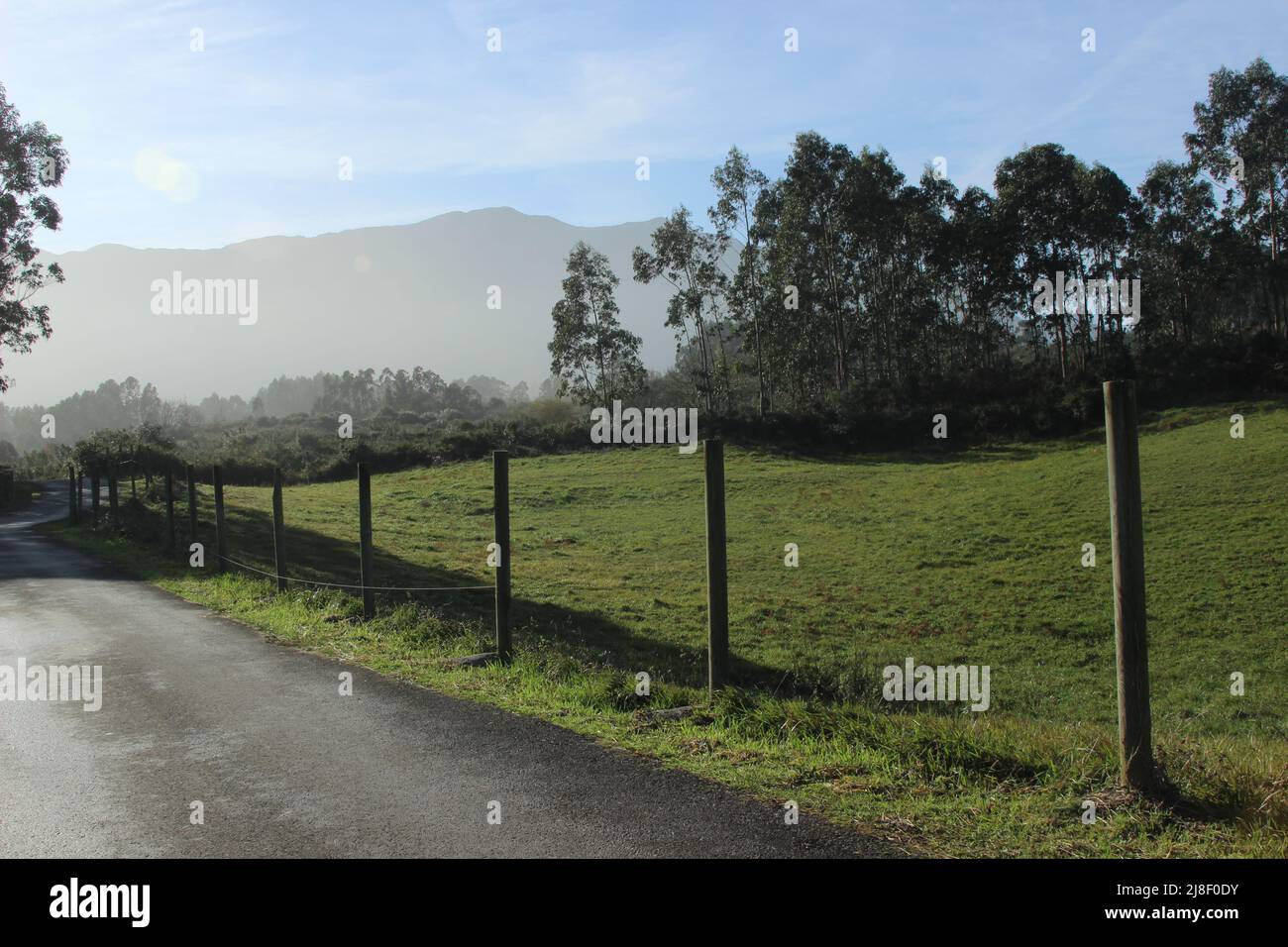 On the Camino de Santiago (Way of St James, Spain Stock Photo - Alamy