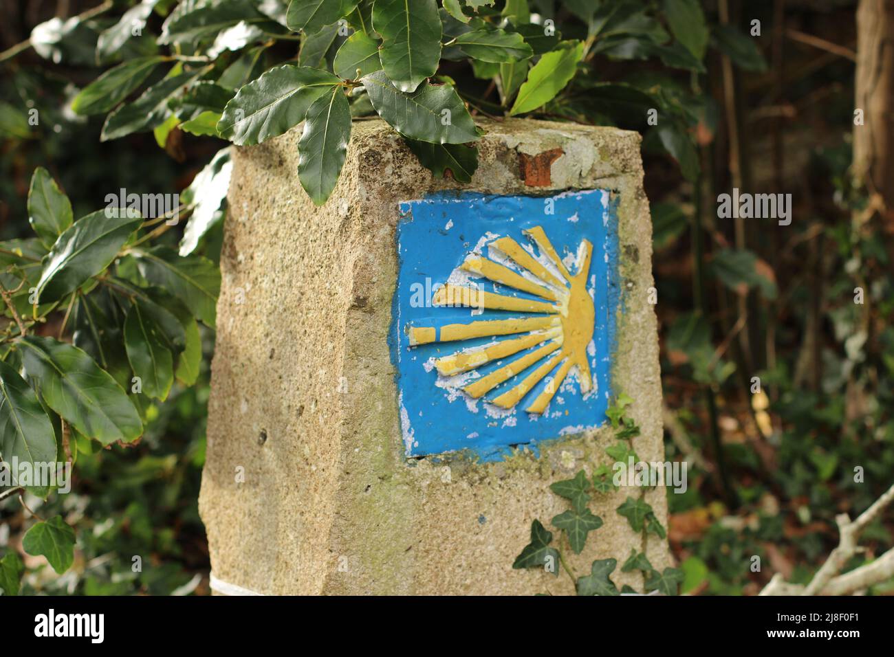 On the Camino de Santiago (Way of St James, Spain Stock Photo - Alamy