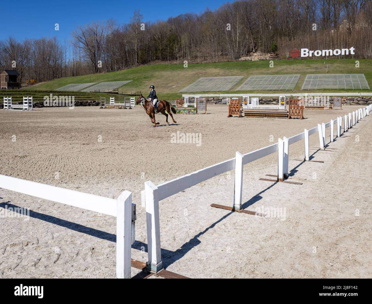 Olympic Horse Jumping Arena