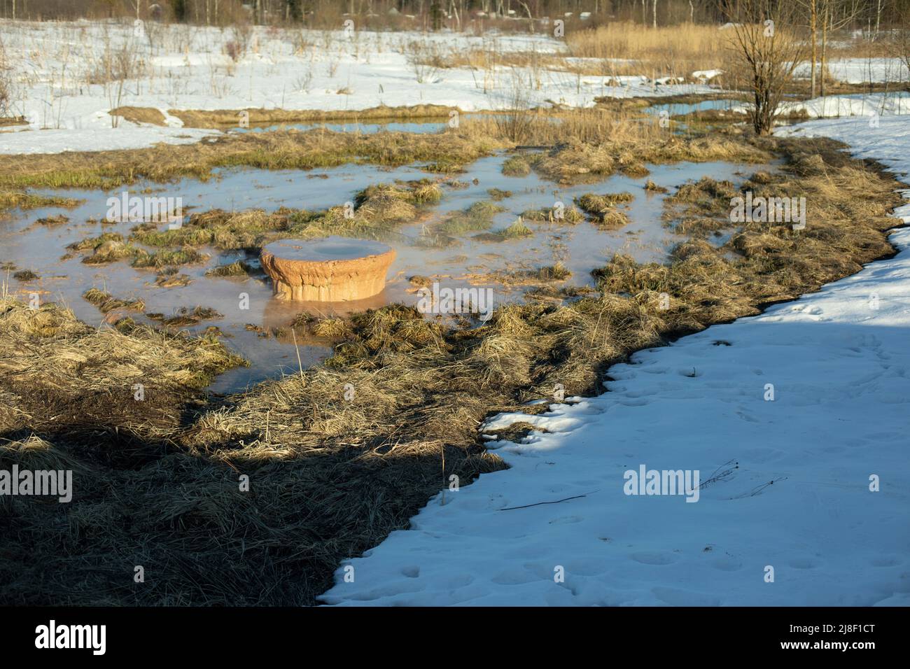 Pipe sticks out of ground in swamp. Artifact in environment. Rusty pipe ...