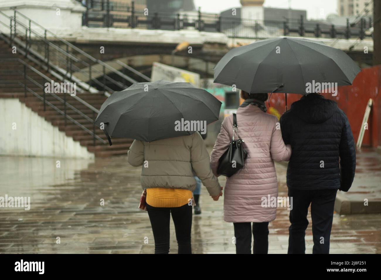 Family in the rain. People with umbrellas on the street. Walk around ...