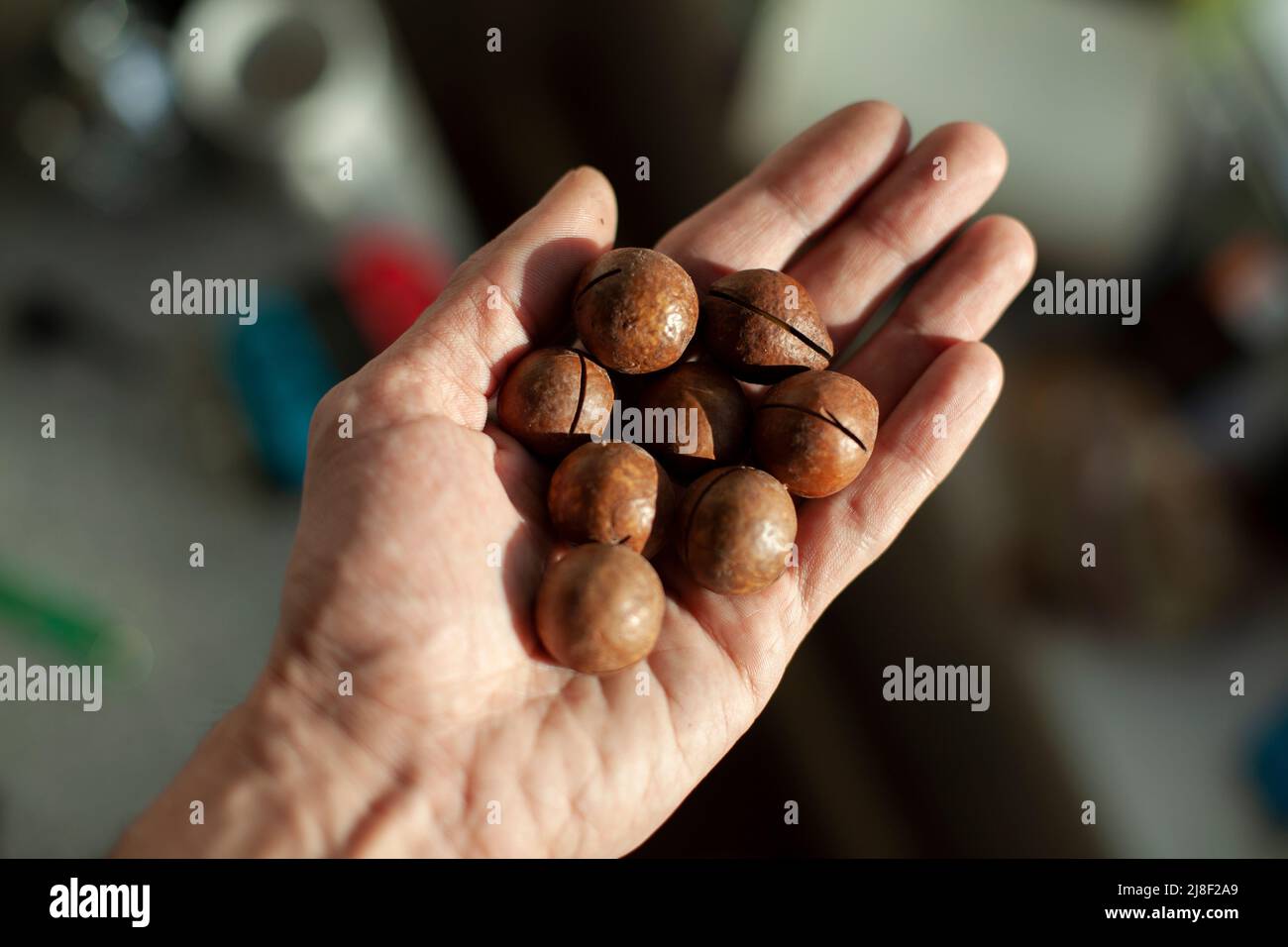Dietary proteins hi-res stock photography and images - Alamy