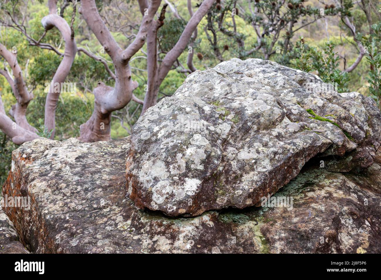 The basin sydney hi-res stock photography and images - Alamy