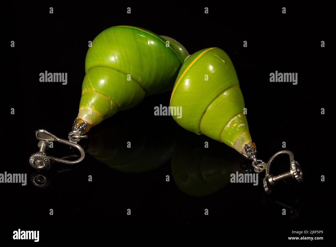 Manus green tree snail hi-res stock photography and images - Alamy