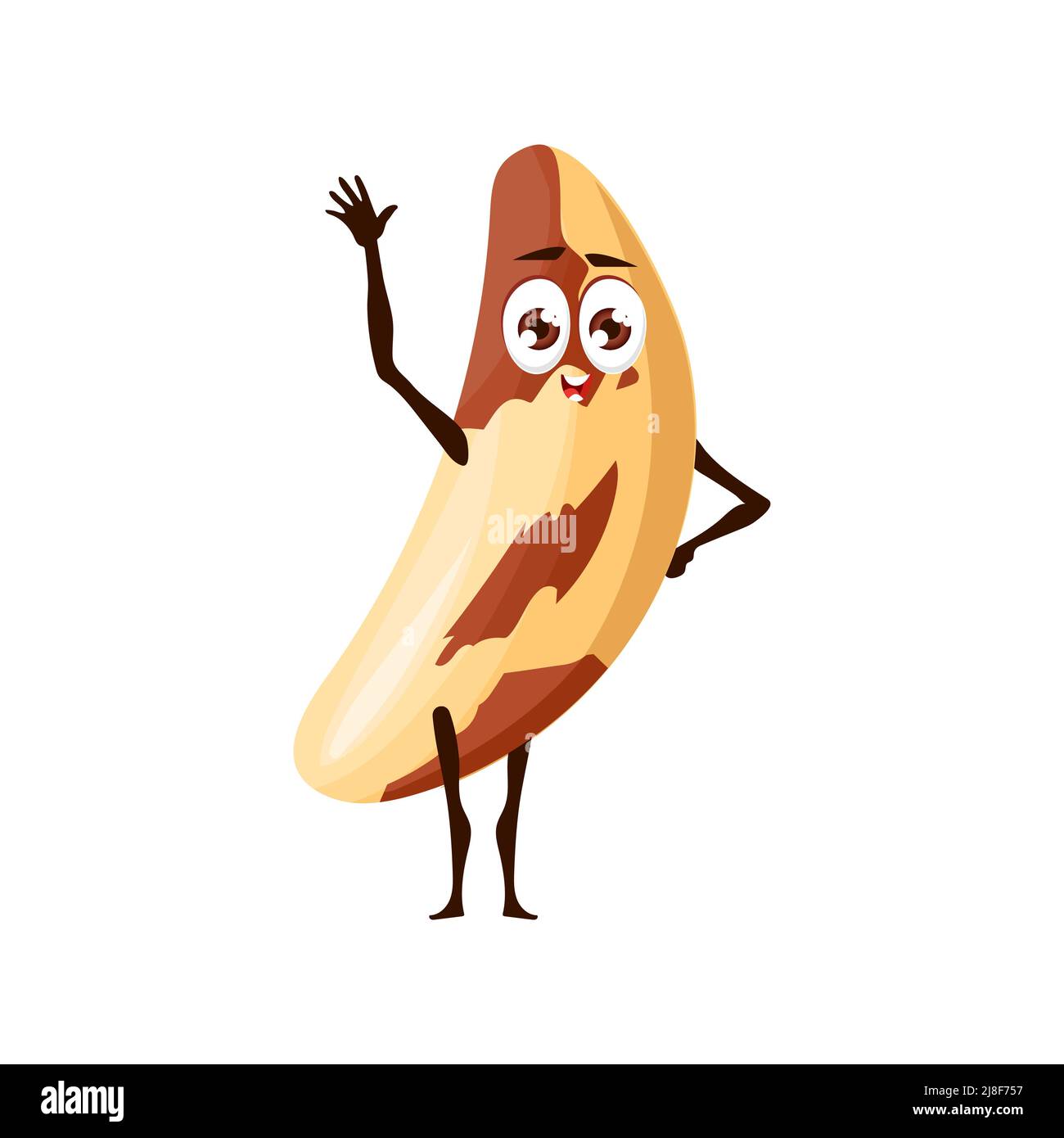 Cartoon brazilian nut character, vector personage with cute happy funny ...