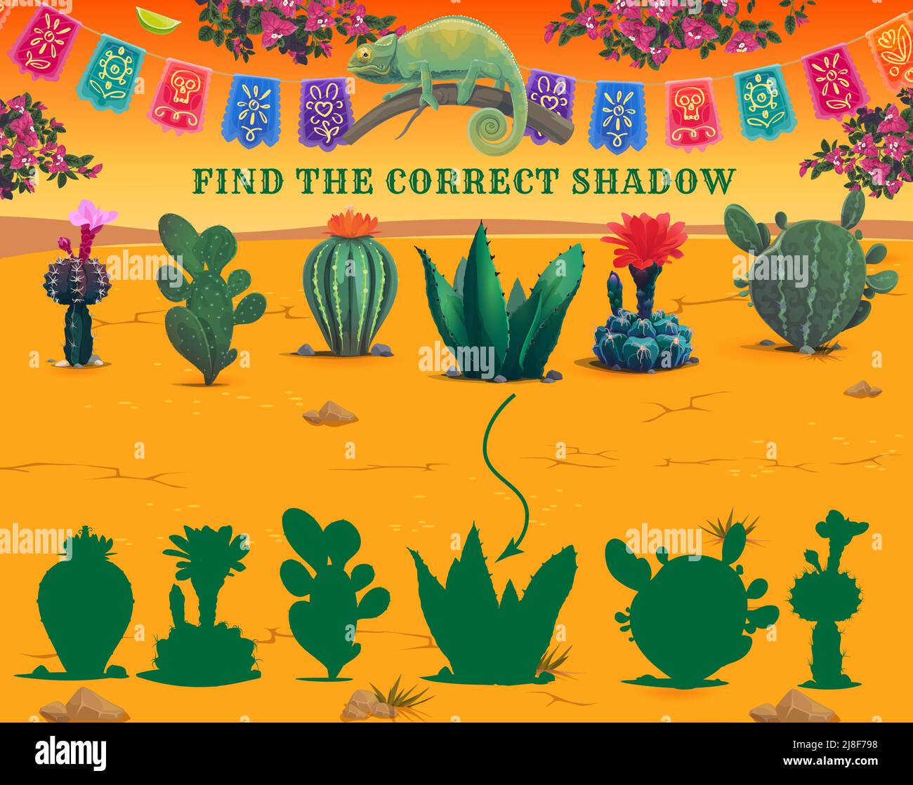 Peyote cactus desert Stock Vector Images - Alamy