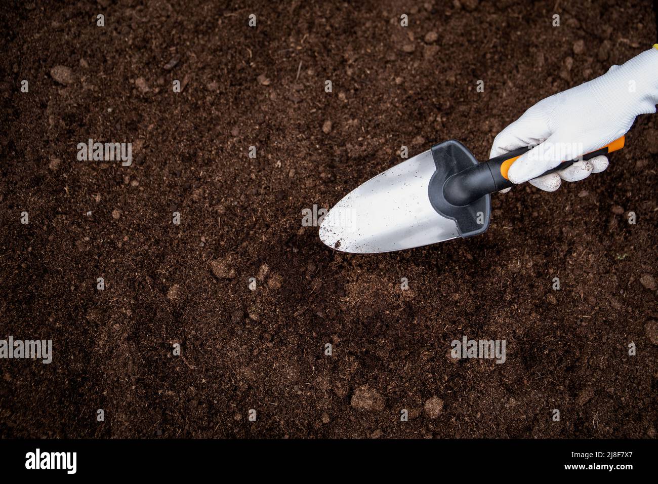 Diging the soil with a garden shovel to prepare for planting and ...