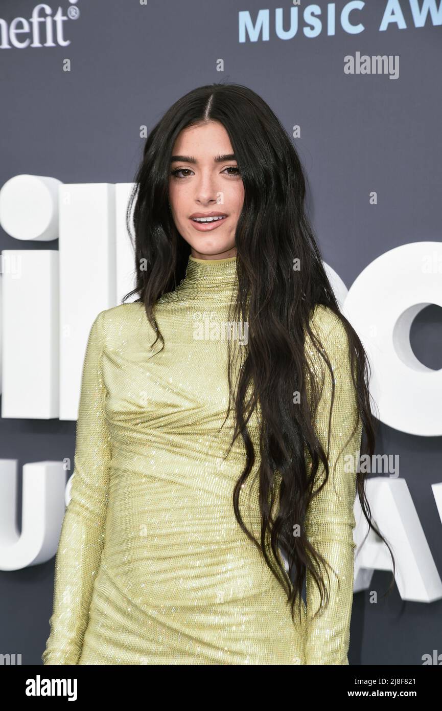 Dixie D'Amelio walking on the red carpet at the 2022 Billboard Music ...