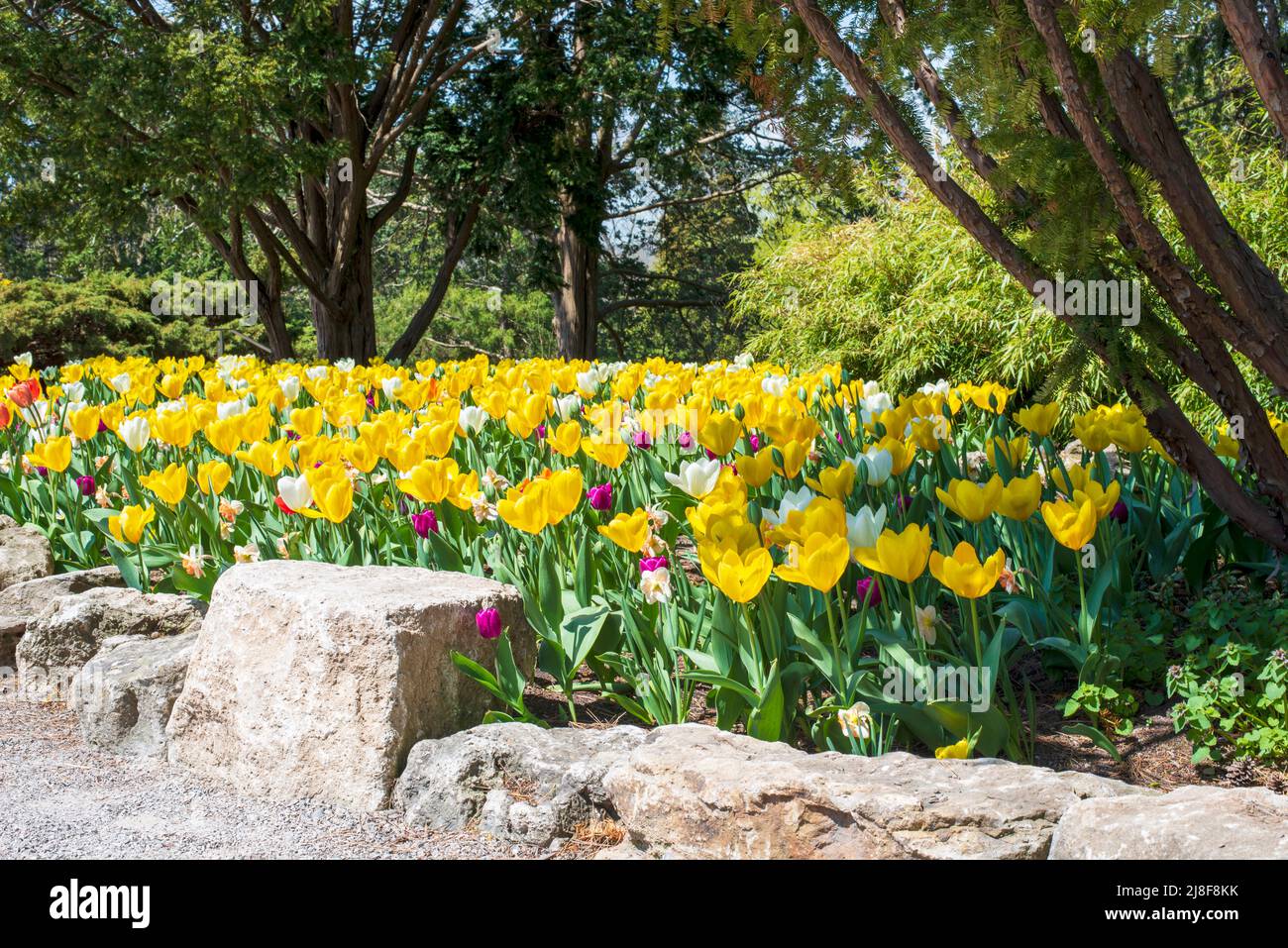 Royal Botanical Gardens - Rock Garden Stock Photo - Alamy