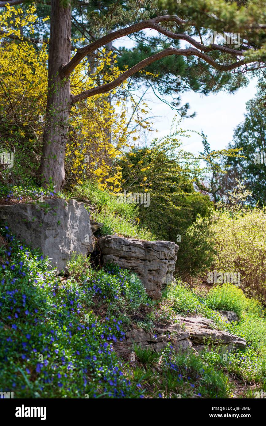 Royal Botanical Gardens - Rock Garden Stock Photo - Alamy