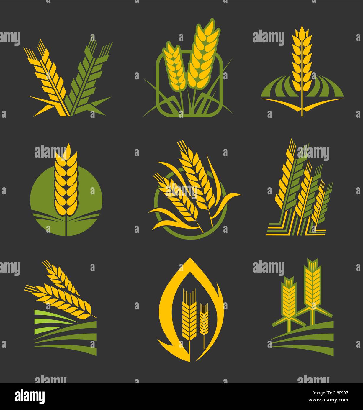 Cereal ears and spikes. Wheat, rye, barley, rice and millet stalks ...