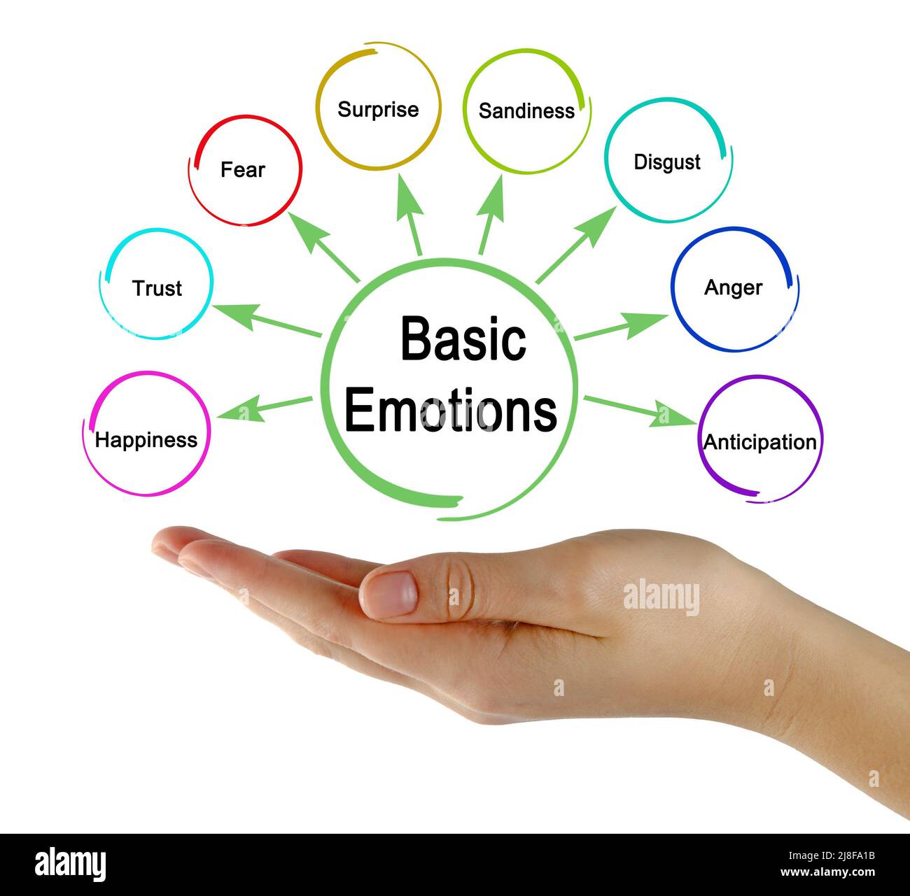 Paul Ekman 6 Basic Emotions
