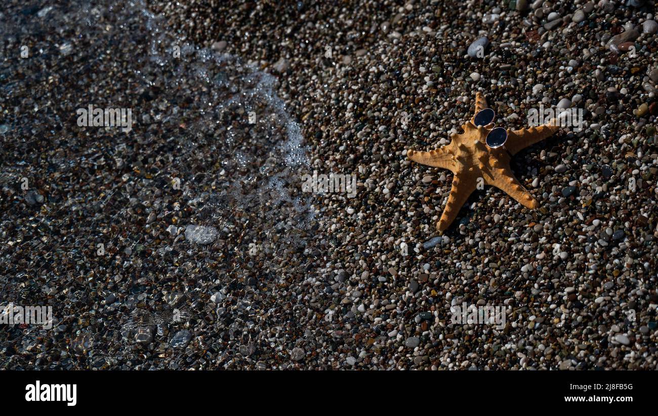 Starfish in sunglasses on a pebble beach. Rest at the sea Stock Photo ...