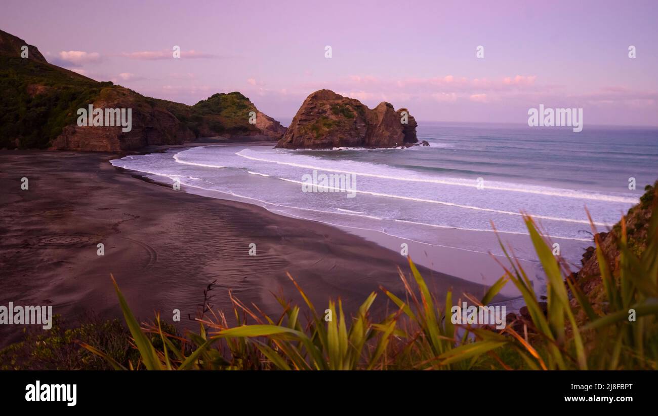 Lion Rock at Piha Beach, New Zealand Stock Photo - Alamy