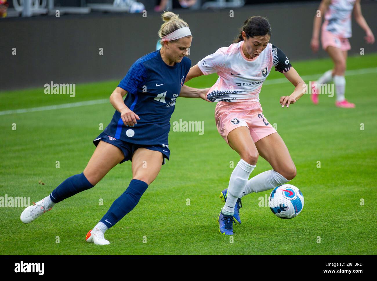 Bayley feist hi-res stock photography and images - Alamy