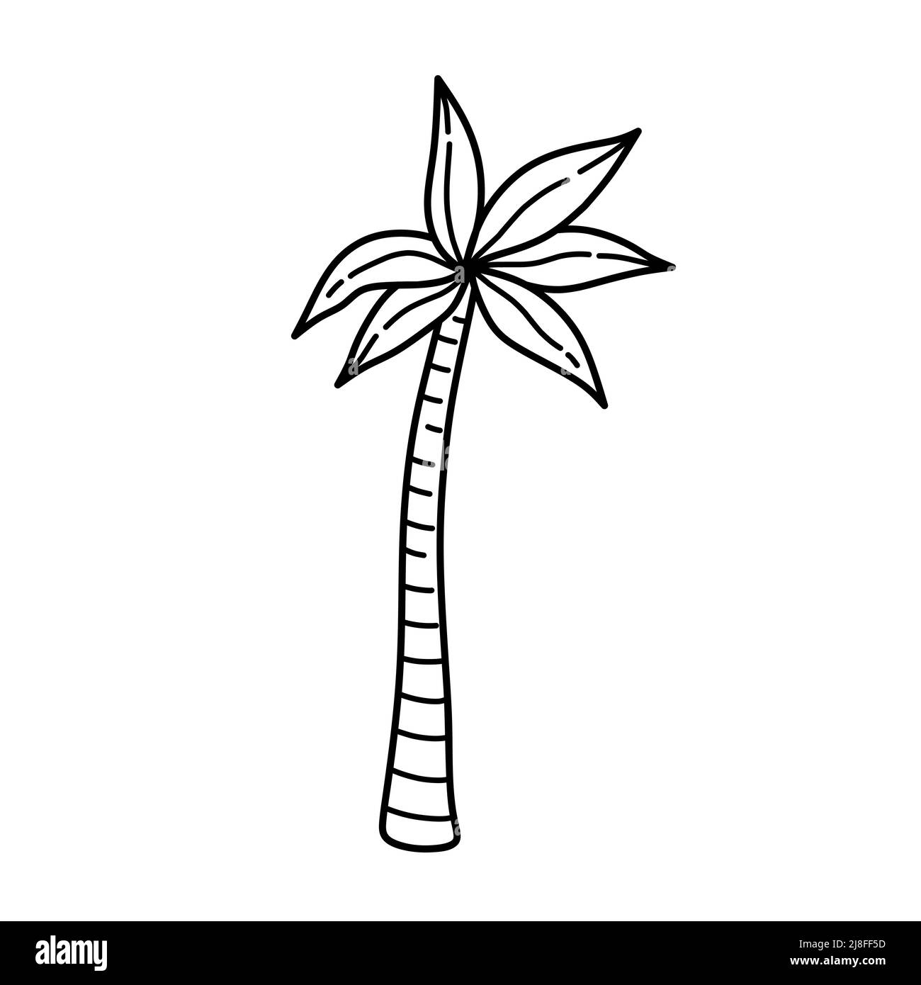 Perfect palm tree Black and White Stock Photos & Images - Alamy