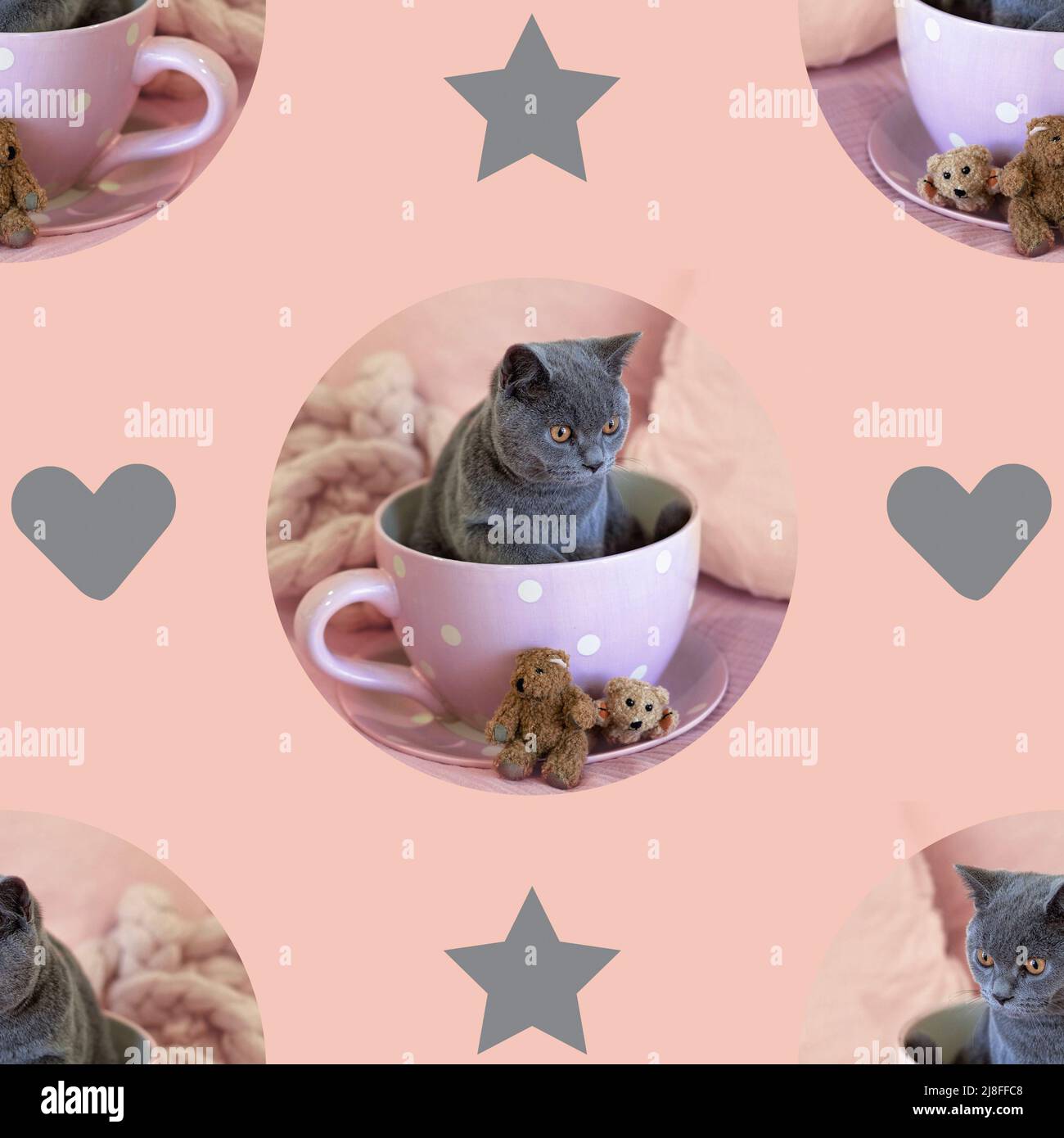 A British Short Hair kitten in a teacup surrounded by hearts, grey on ...