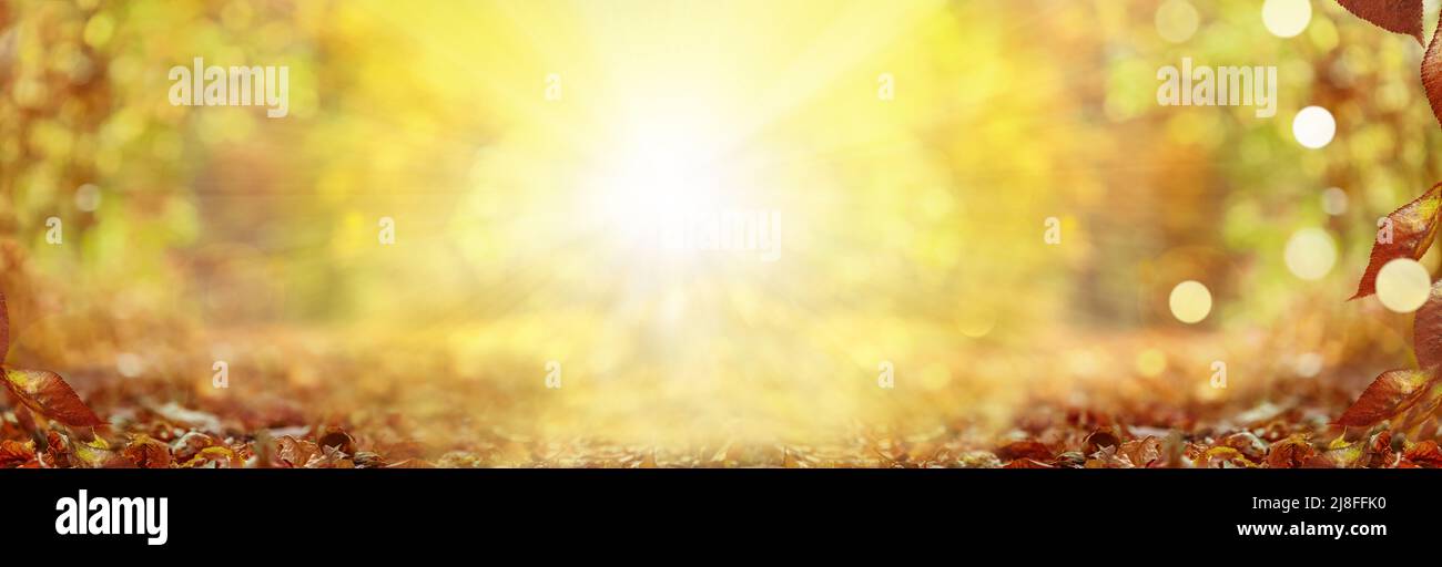 Ultra wide banner format hi-res stock photography and images - Alamy