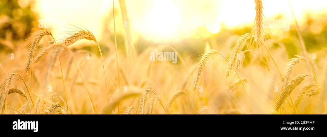 Colorful natural warm background with free space. Rural landscapes ...