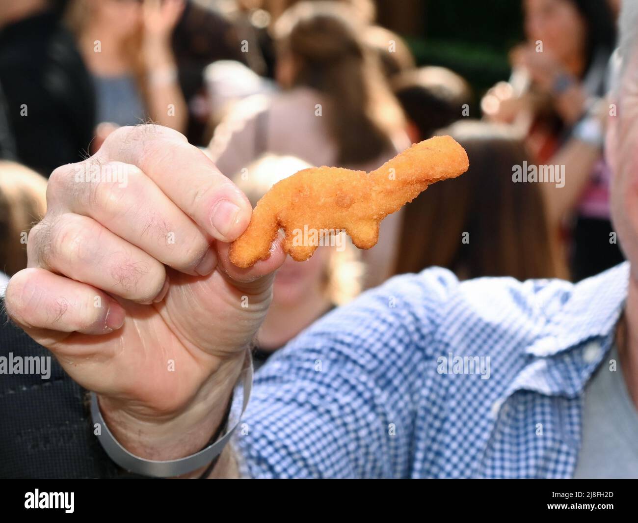 Dinosaur shaped chicken nugget hi-res stock photography and images - Alamy