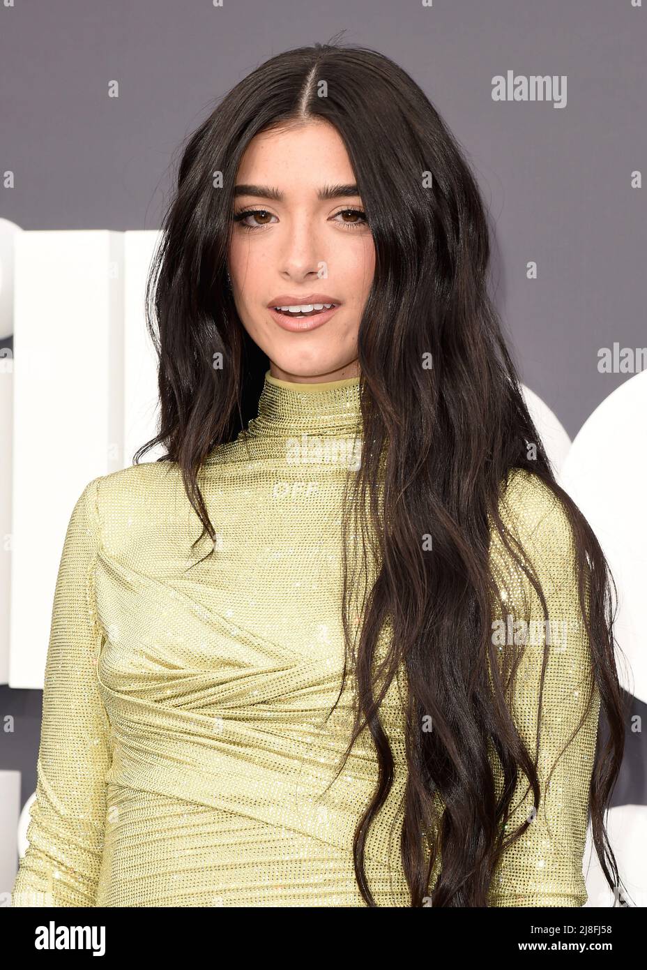 Dixie D’Amelio on the red carpet at the 2022 Billboard Music Awards at ...