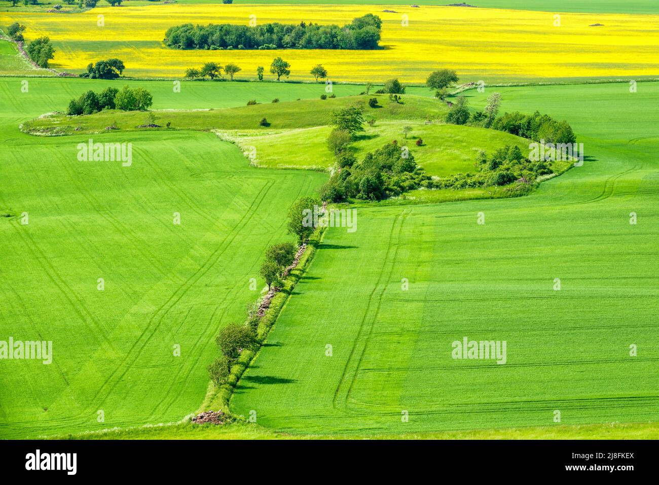 Rural landscape view with fields and trees Stock Photo - Alamy