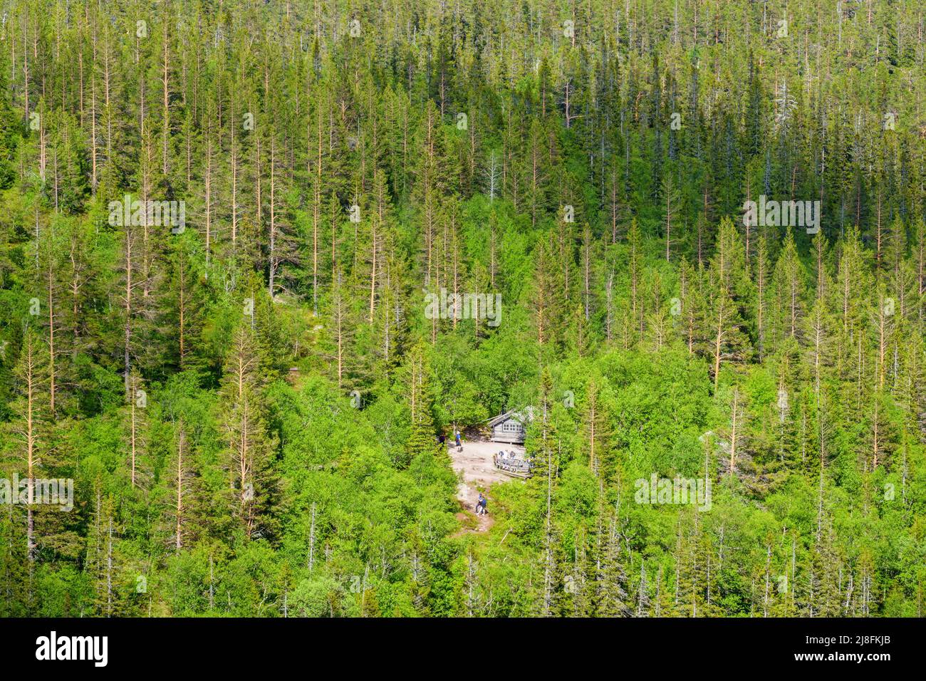Forest landscape with a mountain cabin Stock Photo - Alamy
