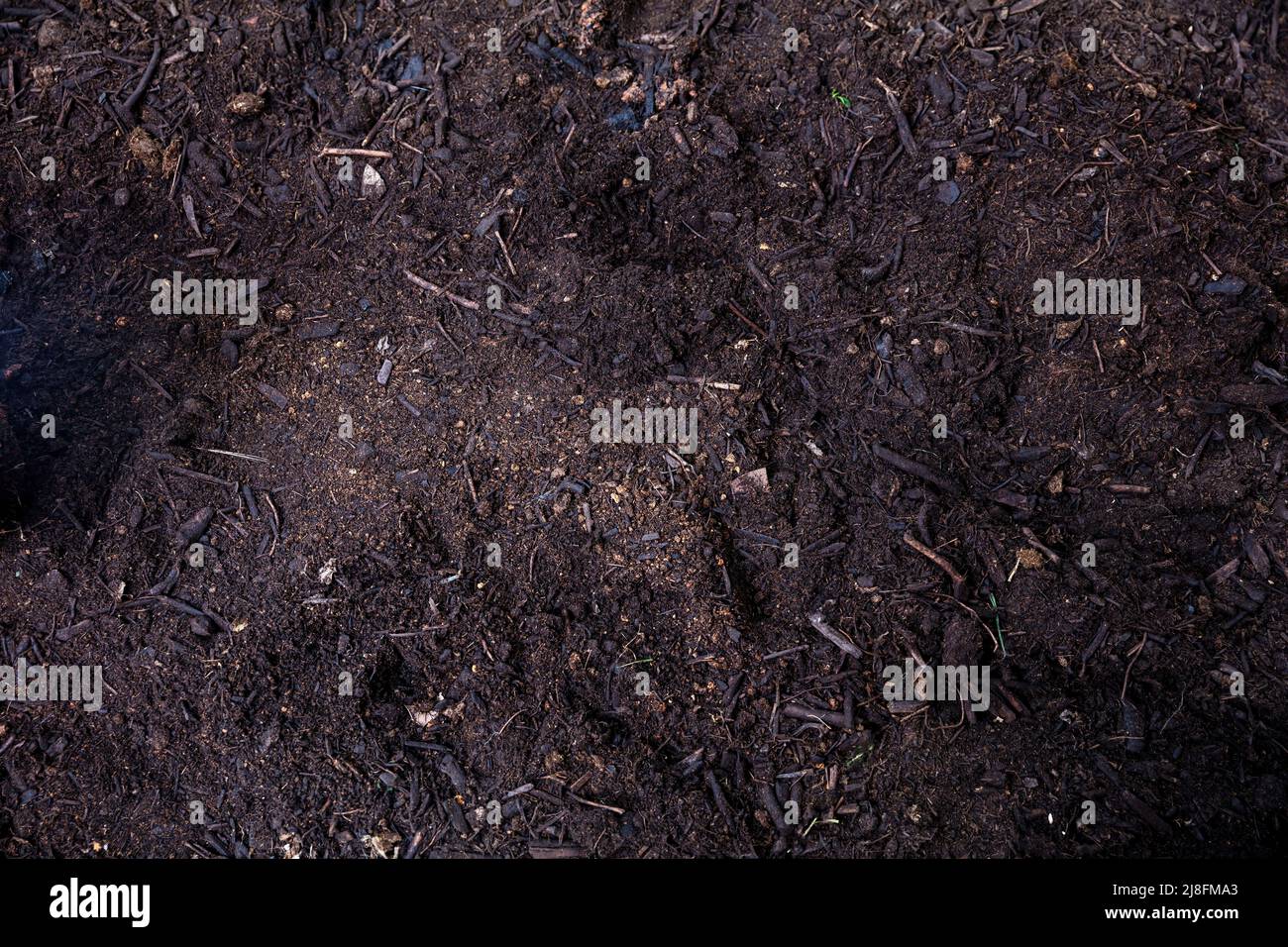 Soil texture background, top view. Fertile dirt, Earth, ground close up ...