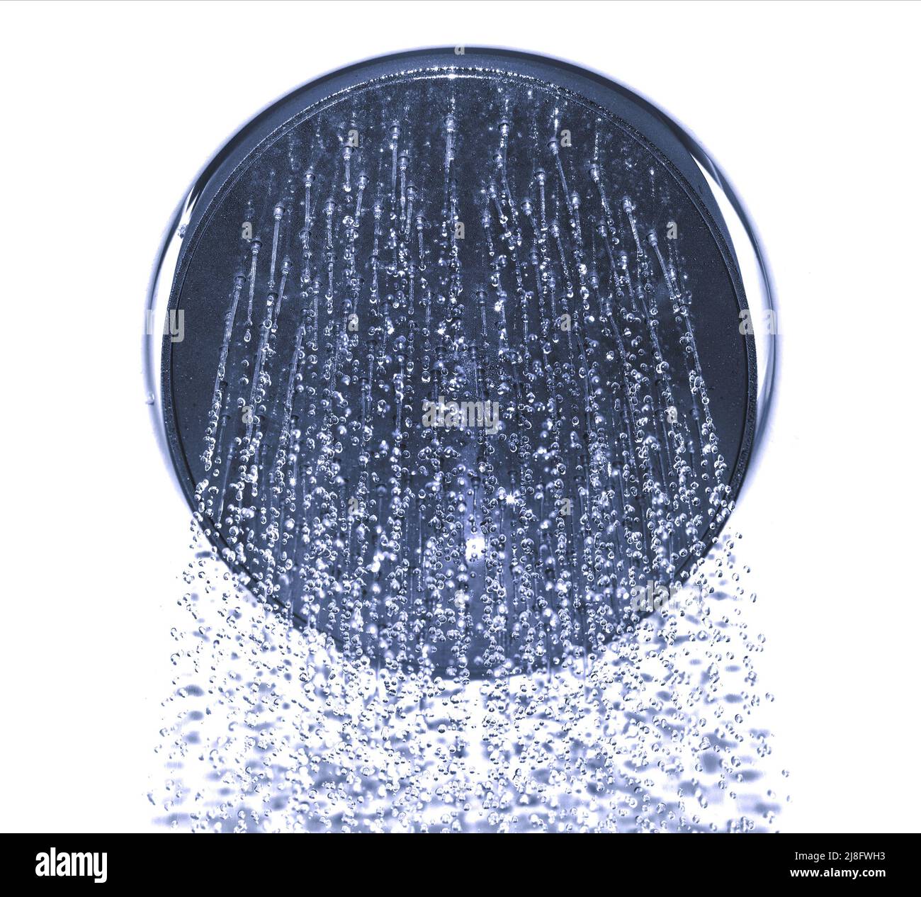 the tropical rain flow in wide shower head, isolated Stock Photo - Alamy