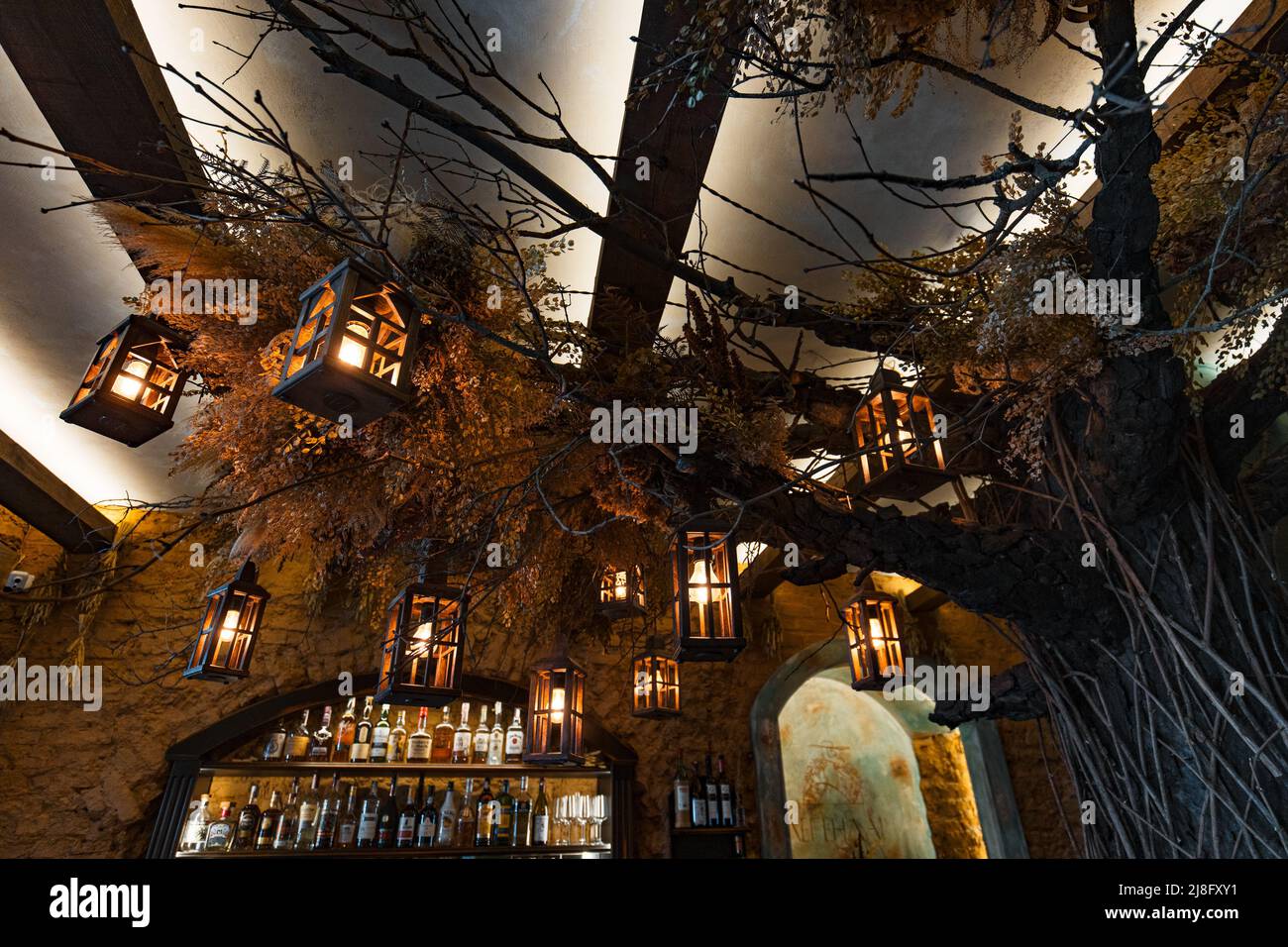 Rome tree bar hi-res stock photography and images - Alamy