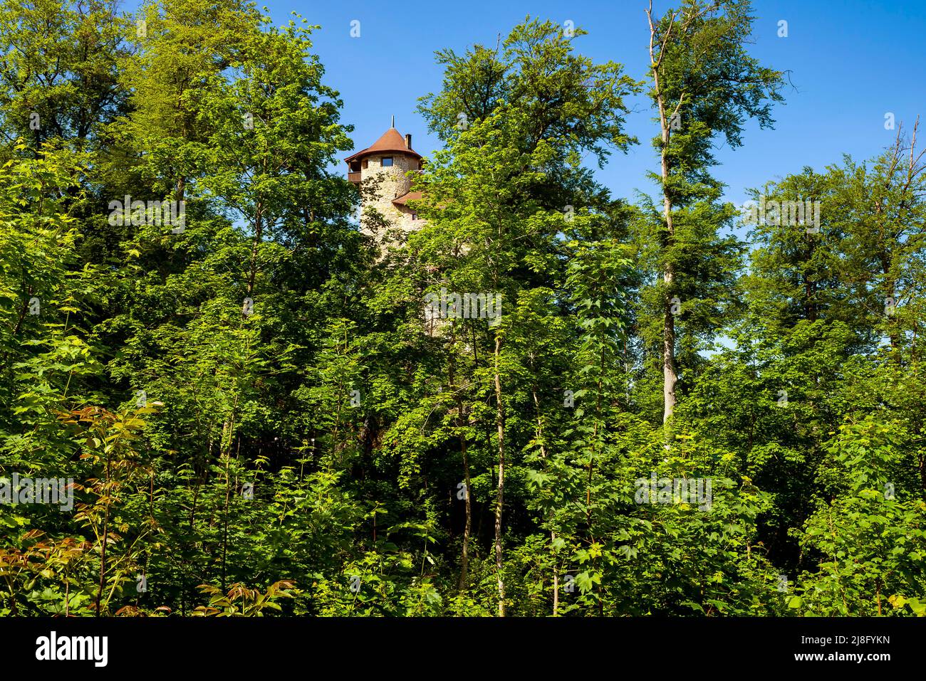 Reichenstein castle hi-res stock photography and images - Alamy