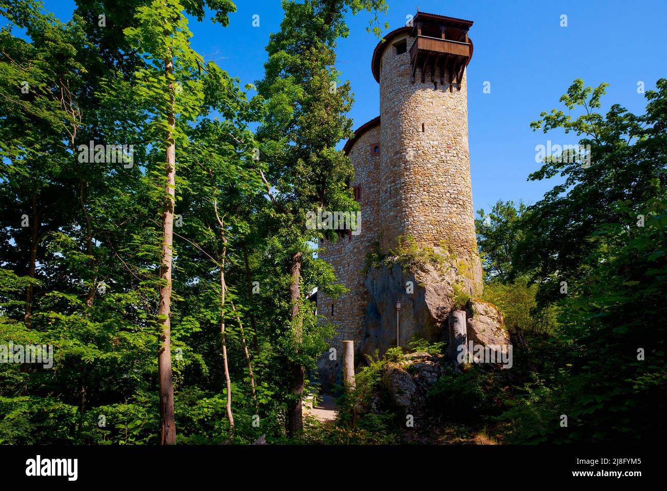 Reichenstein Castle (Arlesheim) in the municipality of Arlesheim in the ...