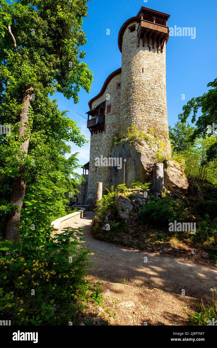 Reichenstein Castle (Arlesheim) in the municipality of Arlesheim in the ...