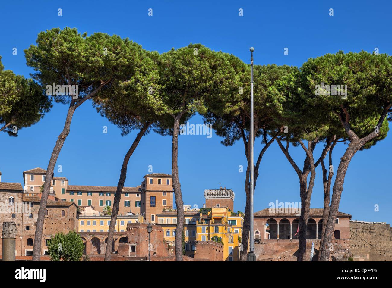Tree lined city skyline of Rome historical center in Italy Stock Photo ...