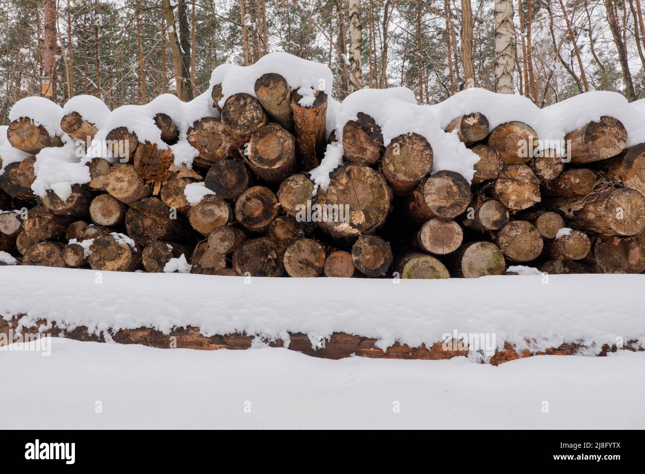 Pile cap hi-res stock photography and images - Alamy