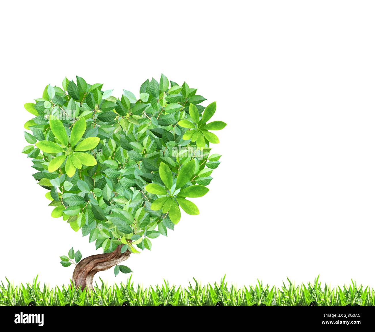 Tree with heart-shaped and grass. Responsible consumption. Heart made ...