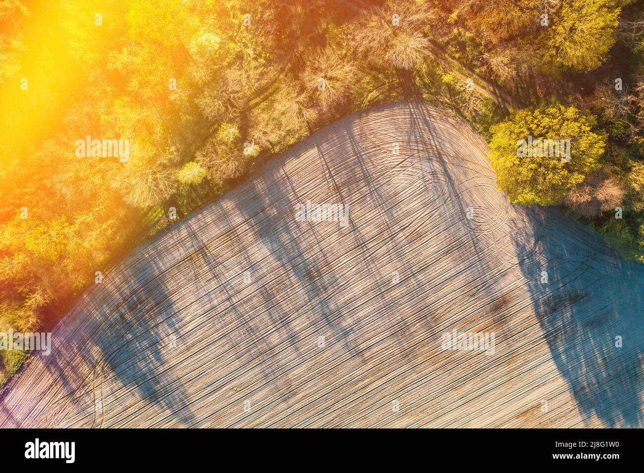 Beautiful scenery long trees hi-res stock photography and images - Alamy