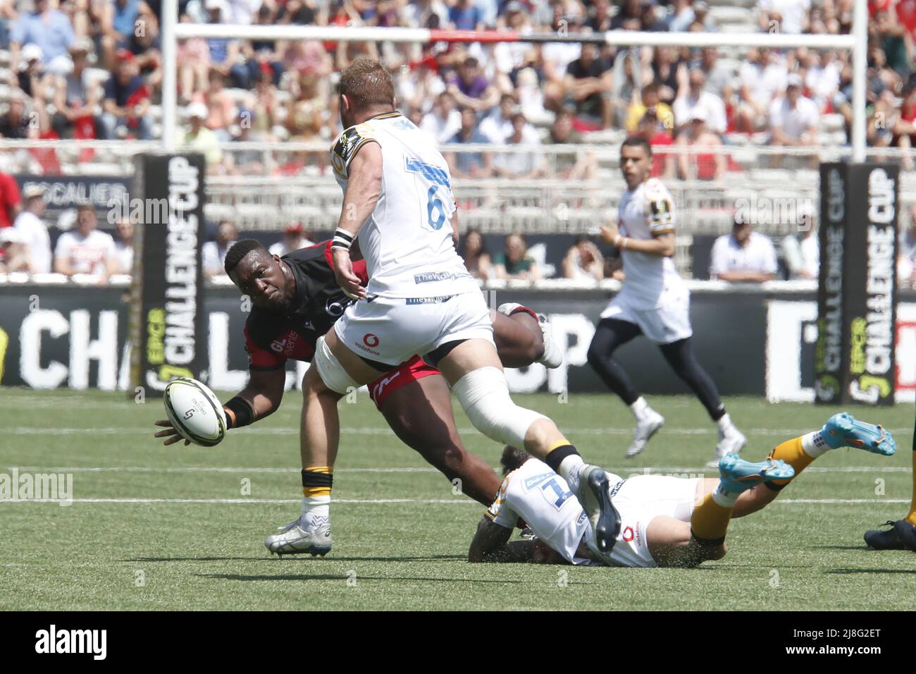Brad shields of wasps rugby hi-res stock photography and images - Alamy