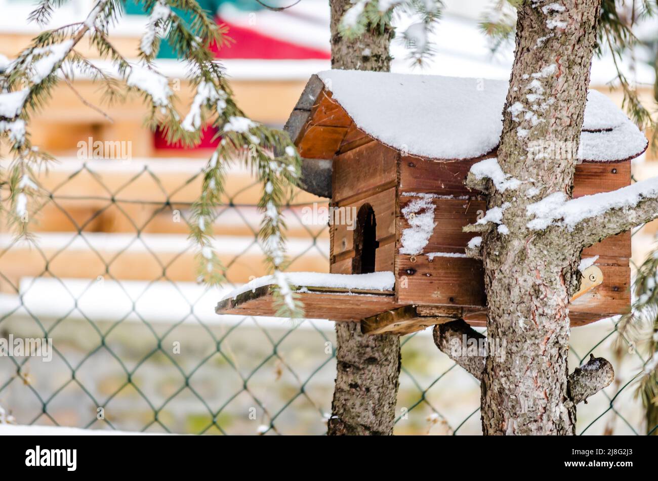 Cute birdhouse in a tree canopy covered with snow Stock Photo - Alamy